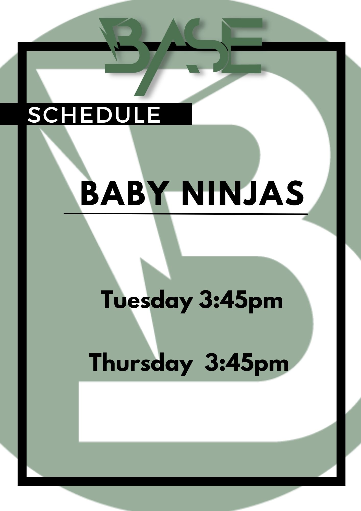 SCHEDULE & PRICING – BASE